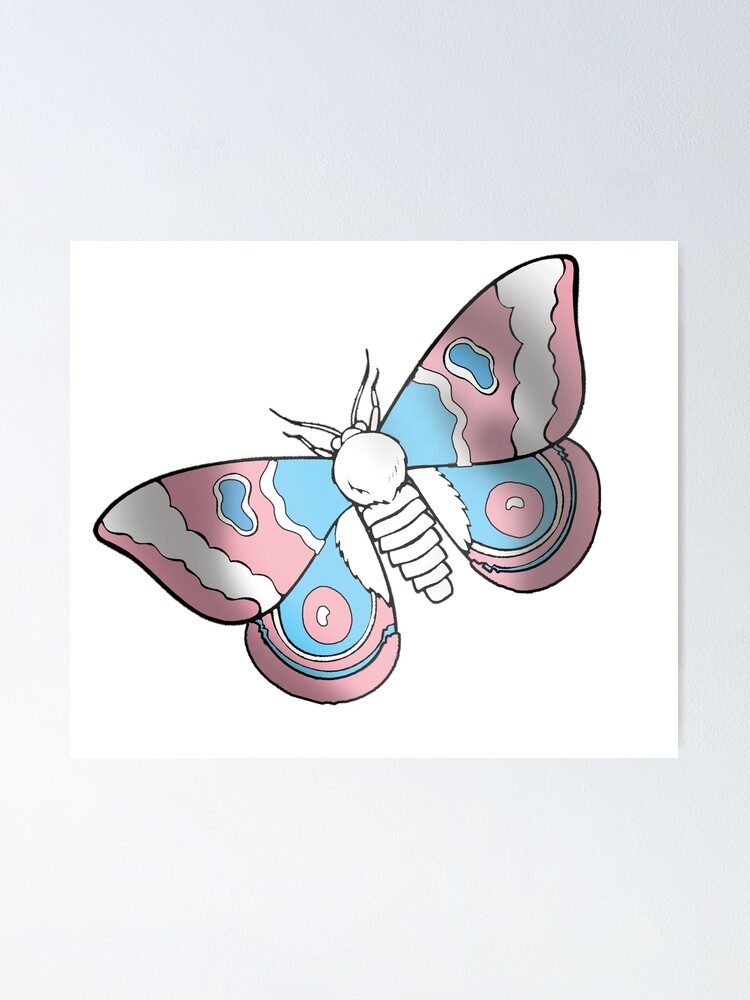 "Transgender Pride Moth" Poster for Sale by holesinyourlung | Redbubble