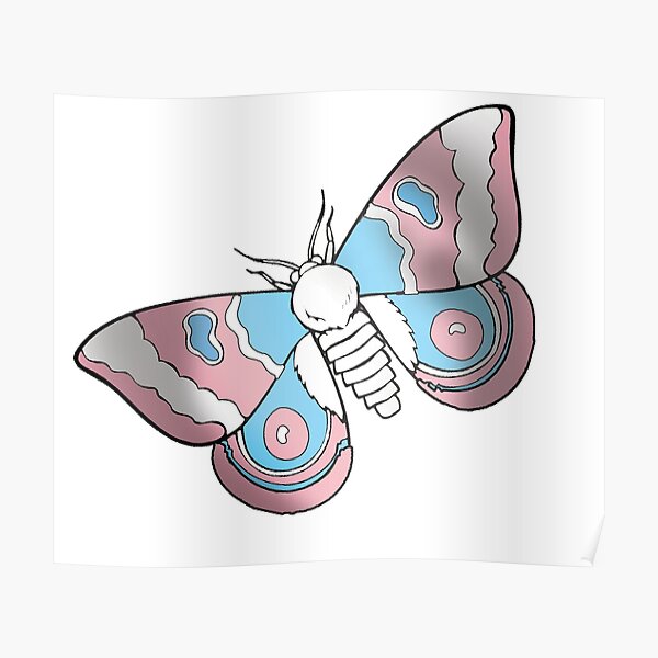 "Transgender Pride Moth" Poster for Sale by holesinyourlung | Redbubble