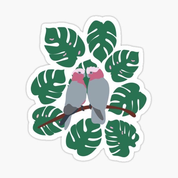 "Galah Galah" Sticker for Sale by braveleopard | Redbubble