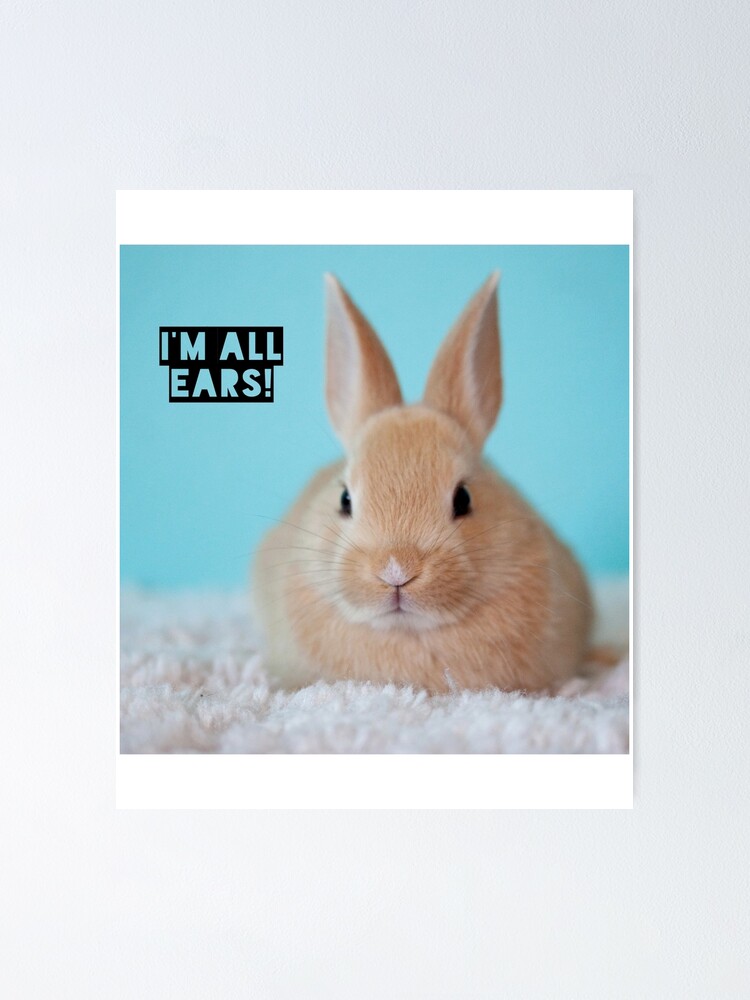 "Rabbit Shirt, "I'M ALL EARS!"" Poster by maryspeer | Redbubble