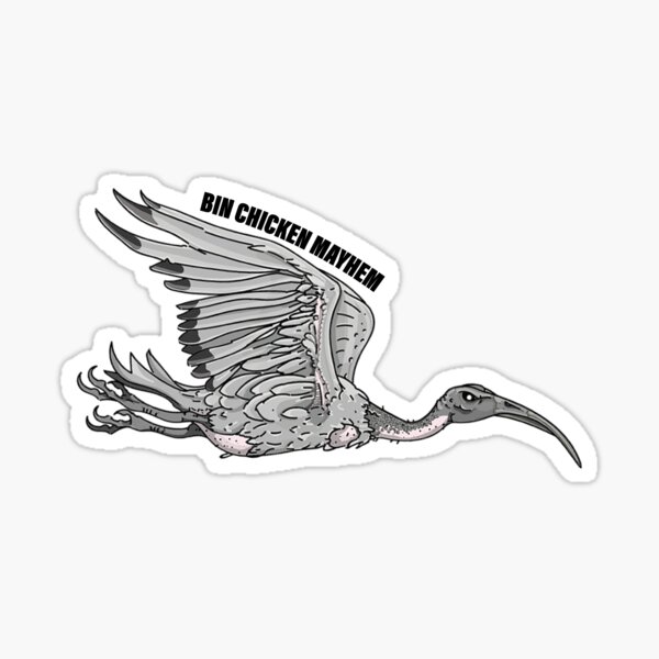 Bin Chicken Stickers | Redbubble