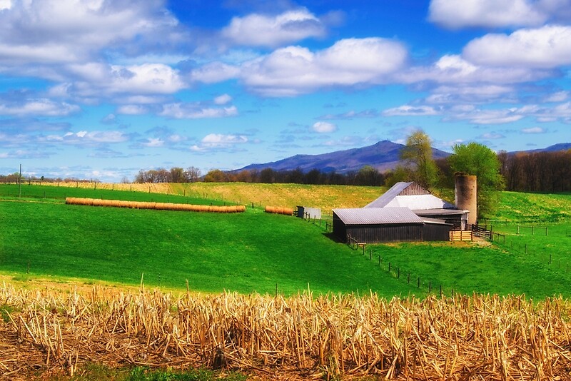 "Early Spring On The Farm" by Jim Love | Redbubble