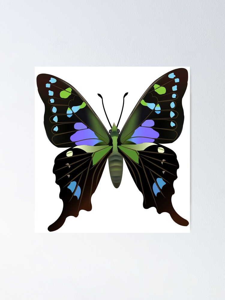 "Black Butterfly" Poster by dcohea | Redbubble