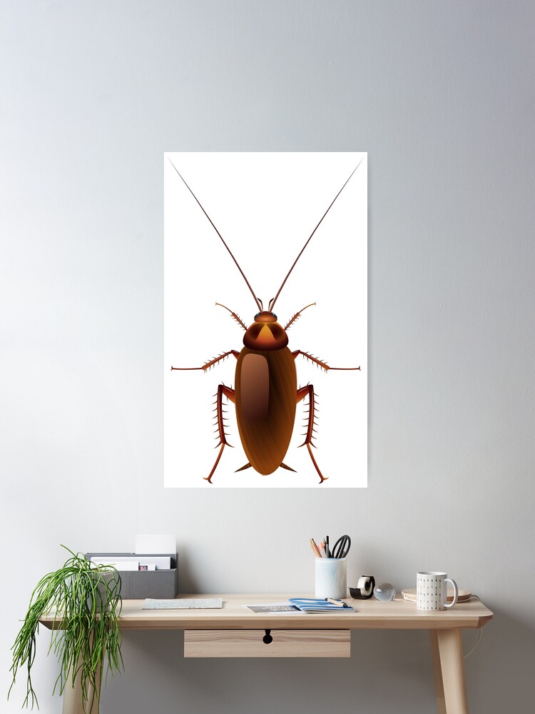 "cockroach" Poster for Sale by dcohea | Redbubble