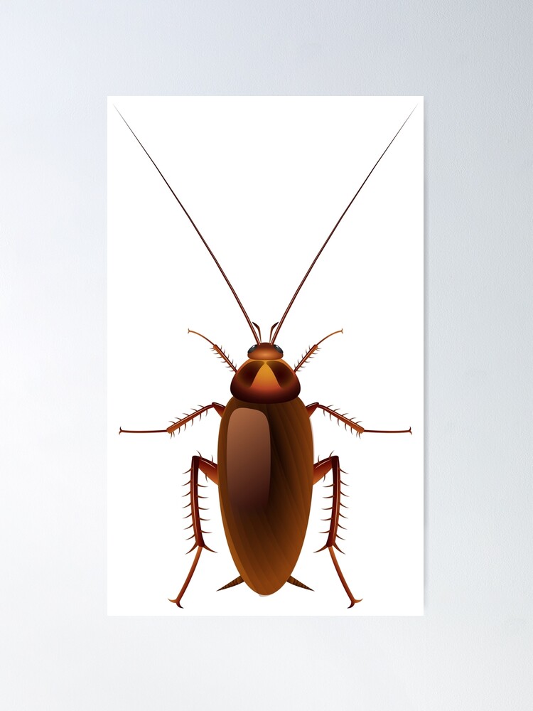 "cockroach" Poster for Sale by dcohea | Redbubble