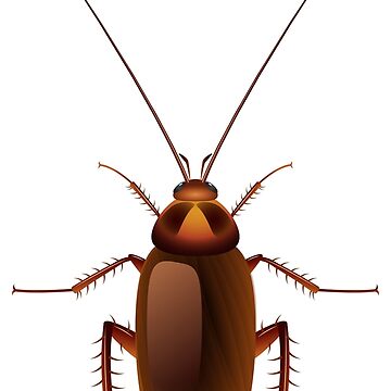 "cockroach" Poster for Sale by dcohea | Redbubble