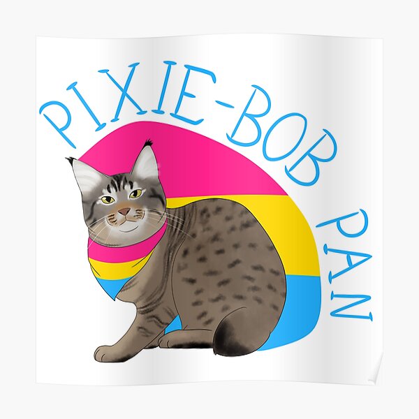 "Pixie-bob Pan" Poster for Sale by oakwyrm | Redbubble