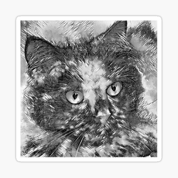 "AnimalArtBW Cat 002" Sticker for Sale by JAMFoto | Redbubble