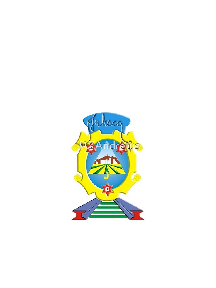 "Coat of Arms of Juliaca, Perú" iPhone Case for Sale by PZAndrews ...