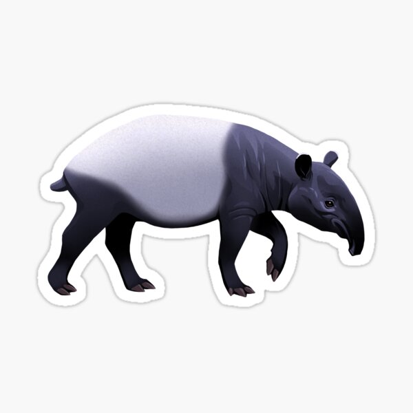 "Malayan Tapir" Sticker for Sale by twicinas | Redbubble