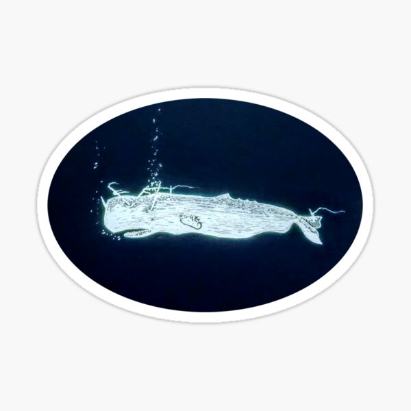 "Moby Dick the Whale " Sticker for Sale by SuperTwila | Redbubble