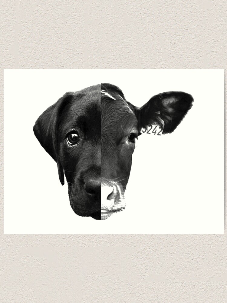 "Speciesism Cow Dog Split Face" Art Print by acatherine | Redbubble
