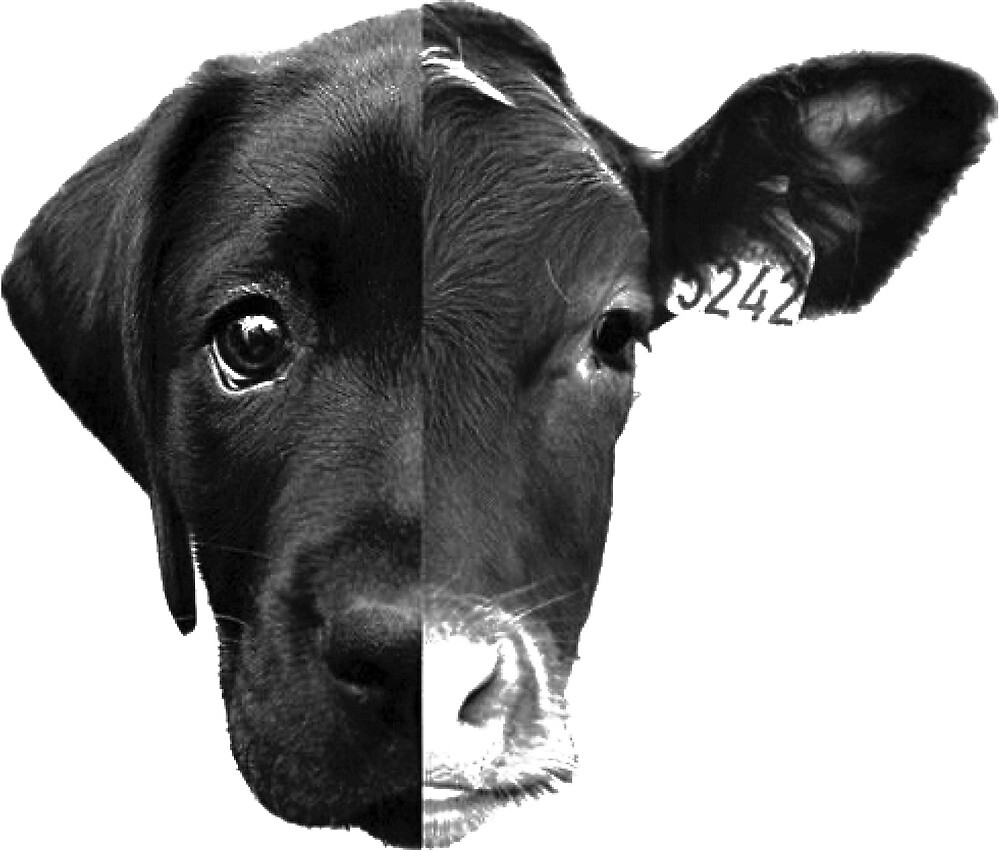 "Speciesism Cow Dog Split Face" by acatherine | Redbubble