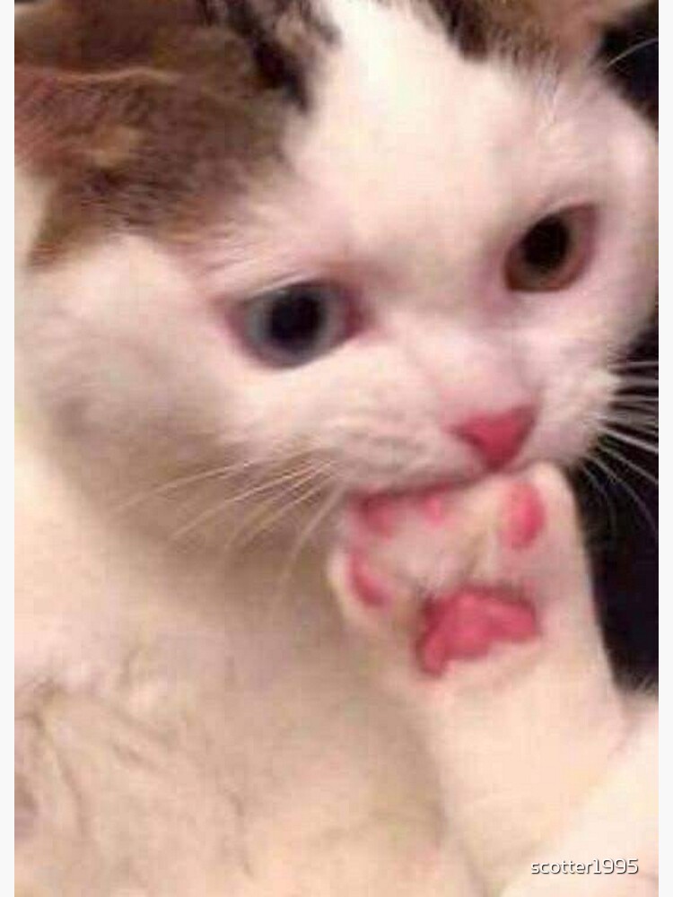 "Thinking cat" Greeting Card for Sale by scotter1995 | Redbubble