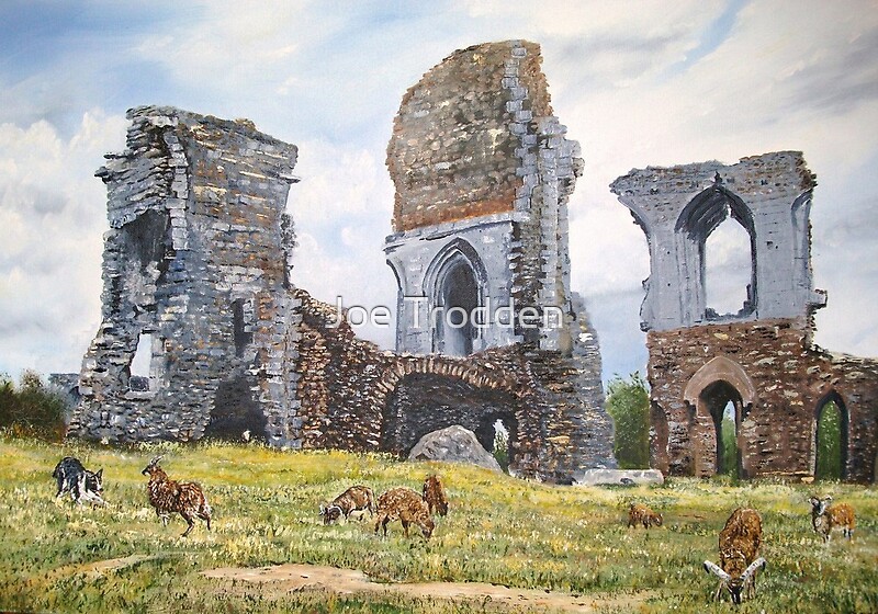 "Soay sheep at Corfe Castle." by Joe Trodden | Redbubble