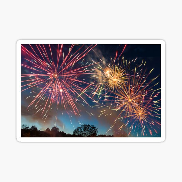 "Let's Celebrate" Sticker for Sale by mljdwhite | Redbubble