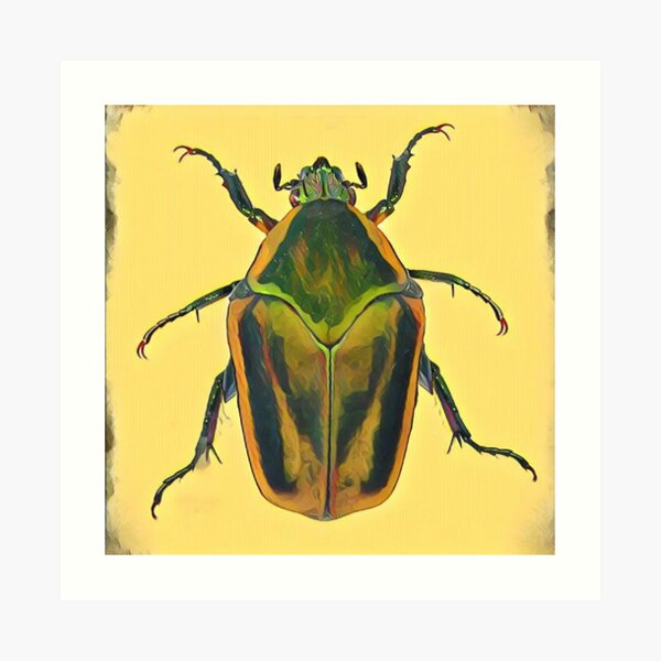 June Bug Wall Art | Redbubble