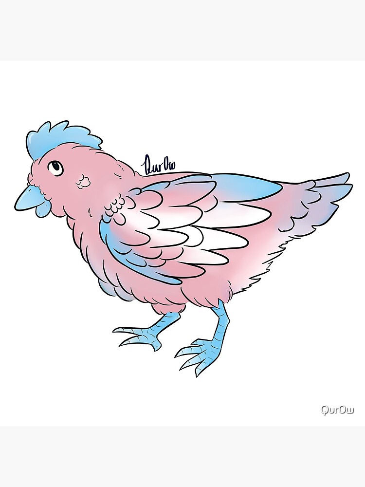 "Trans Chicken Pride - 2019" Photographic Print by Qur0w | Redbubble