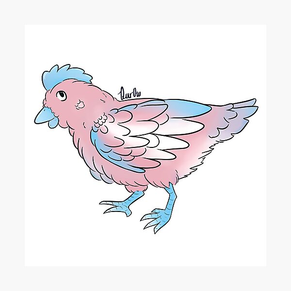 "Trans Chicken Pride - 2019" Photographic Print by Qur0w | Redbubble