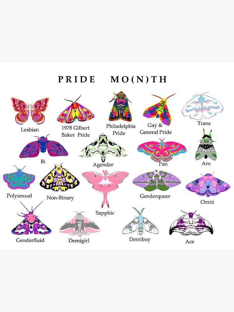 "Full Pride Moth Collection" Poster for Sale by 3hdj | Redbubble