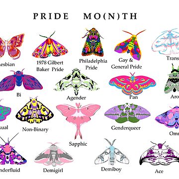 "Full Pride Moth Collection" Art Board Print for Sale by 3hdj | Redbubble