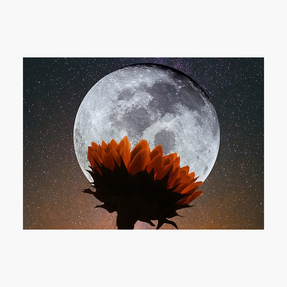 Digital Prints Art & Collectibles Moon and Sunflower Poster Prints etna ...