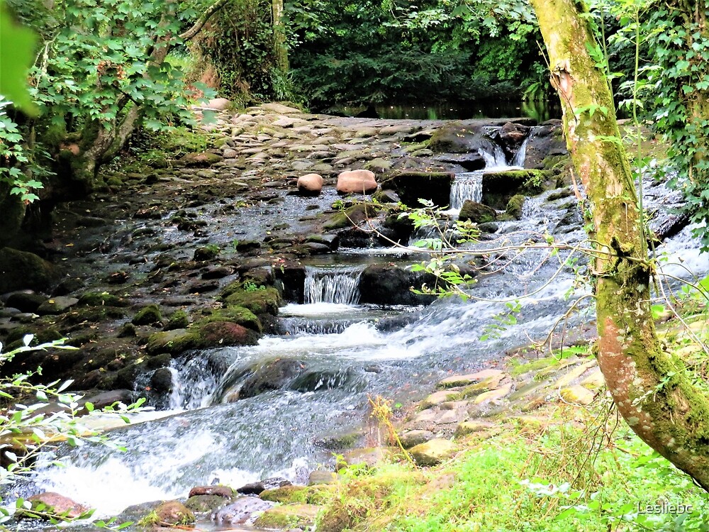 "Lydia Falls" by Lesliebc | Redbubble