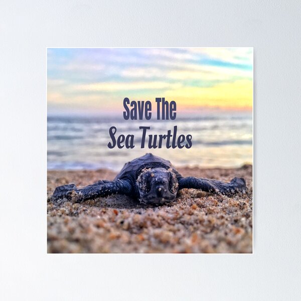 "Save The Sea Turtles" Poster for Sale by mwagie | Redbubble