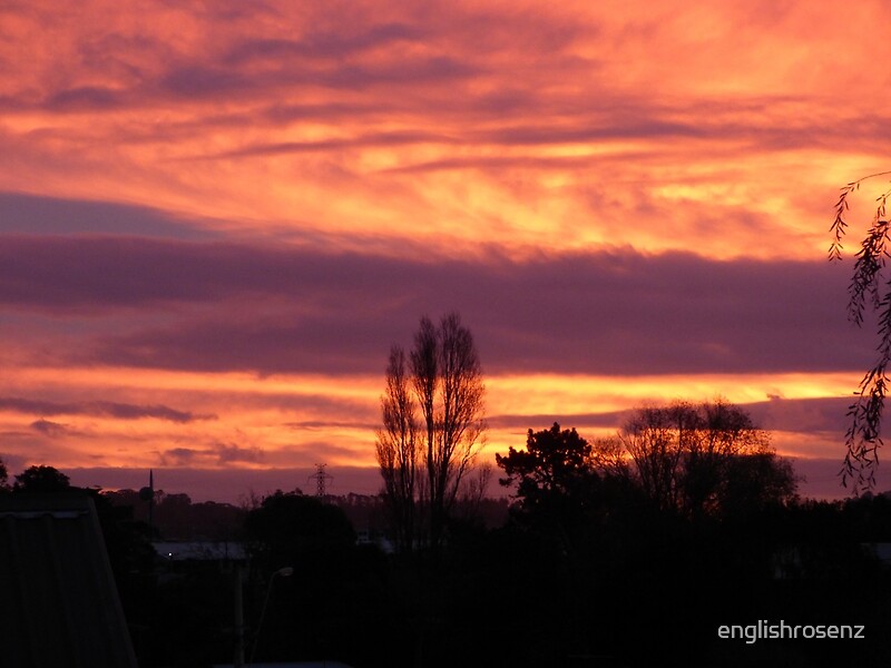 "Auckland June Sunset" by englishrosenz | Redbubble