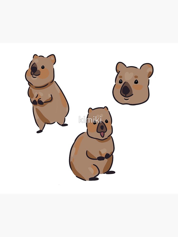 "quokkas" Poster by kimiki | Redbubble