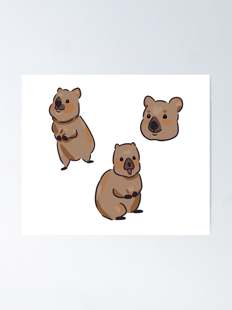 "quokkas" Poster by kimiki | Redbubble