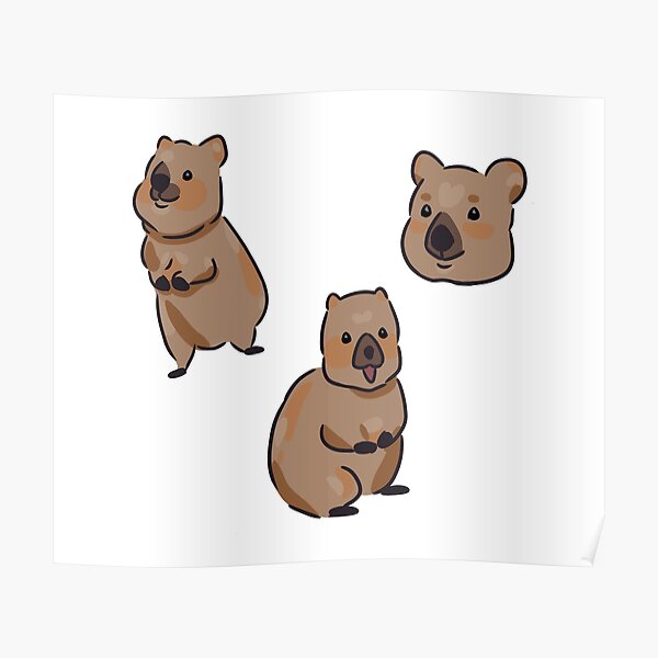 "quokkas" Poster by kimiki | Redbubble
