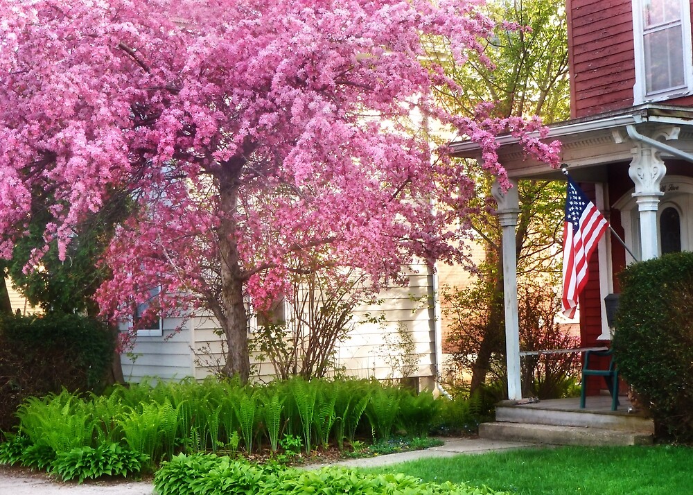 "Spring Splendor" by Nadya Johnson | Redbubble