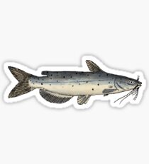 Catfish Stickers | Redbubble