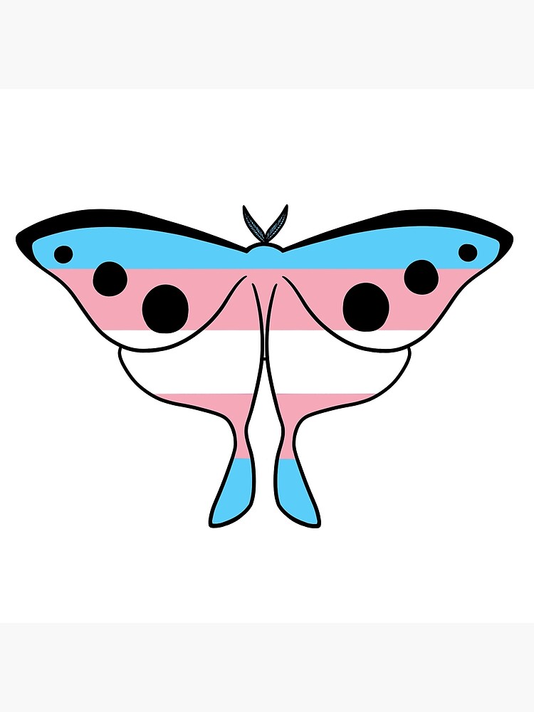 "Trans Pride Moth" Canvas Print for Sale by avesmx | Redbubble