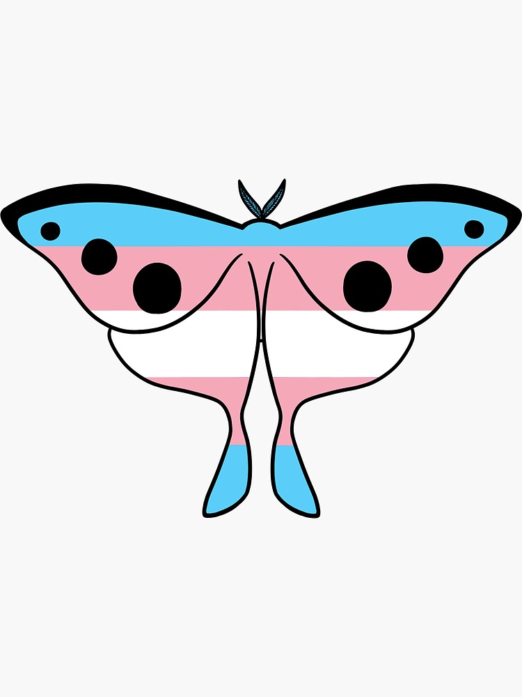 "Trans Pride Moth" Sticker for Sale by avesmx | Redbubble
