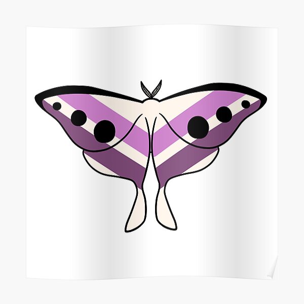 "Queer Pride Moth" Poster by avesmx | Redbubble