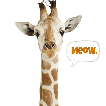 "Funny Giraffe saying Meow Giraffe Head Funny Cute Pun Meme" Art Board ...