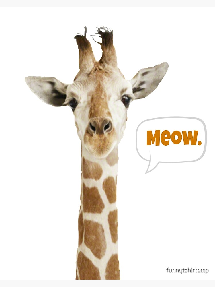 Funny Giraffe Meme