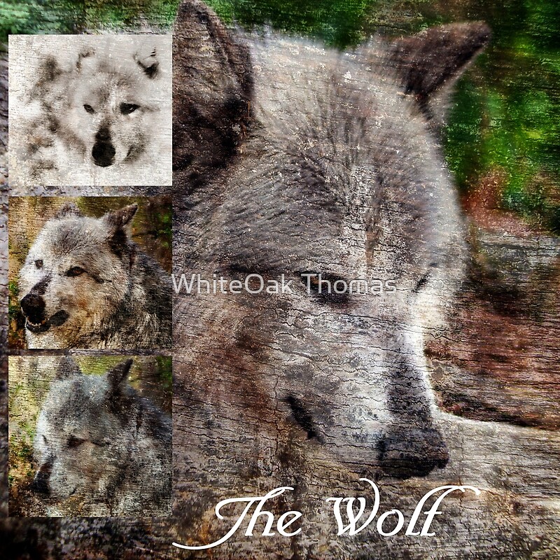 "The Wolf Collage" by WhiteOak Thomas | Redbubble