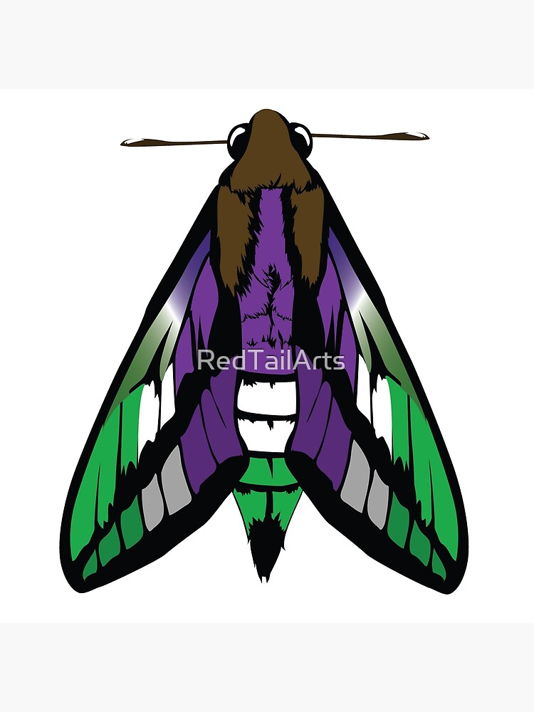 "Gender Queer Pride Moth" Throw Pillow for Sale by RedTailArts | Redbubble