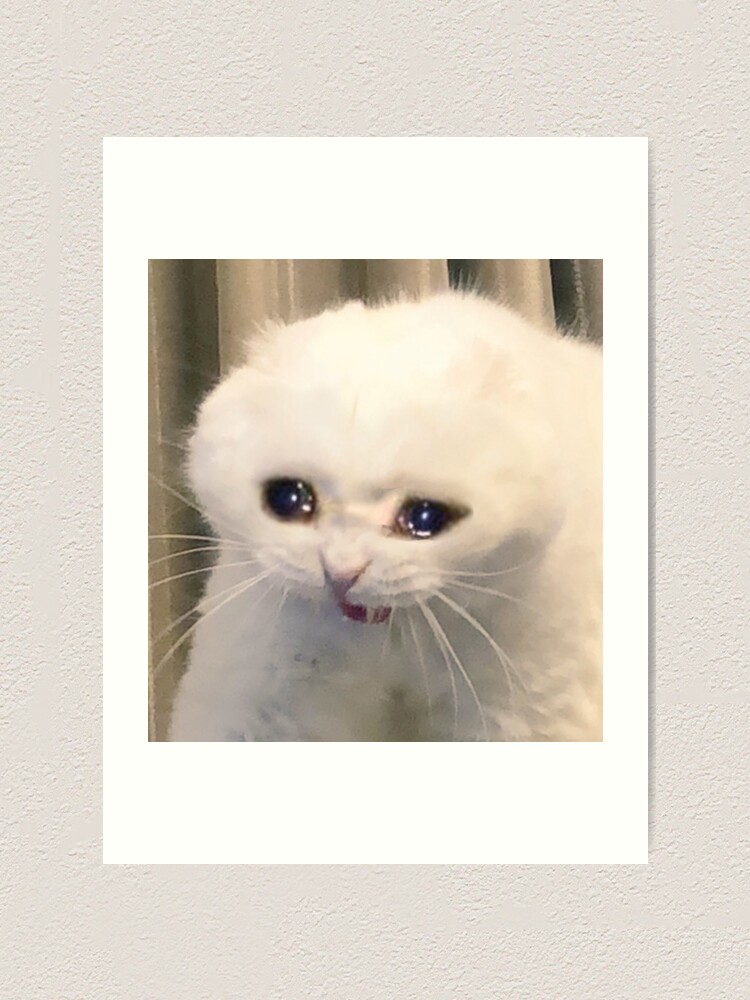 "Crying Cat Meme" Art Print for Sale by cherrygloss | Redbubble