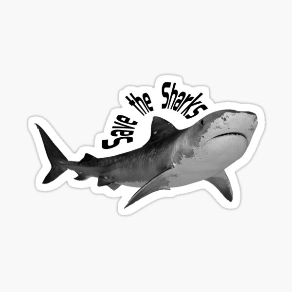 "Save the Sharks " Sticker for Sale by faunbon | Redbubble