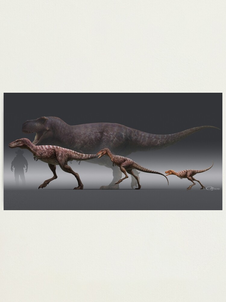 "Saurian - Adolescent T. rex" Photographic Print for Sale by arvalis ...