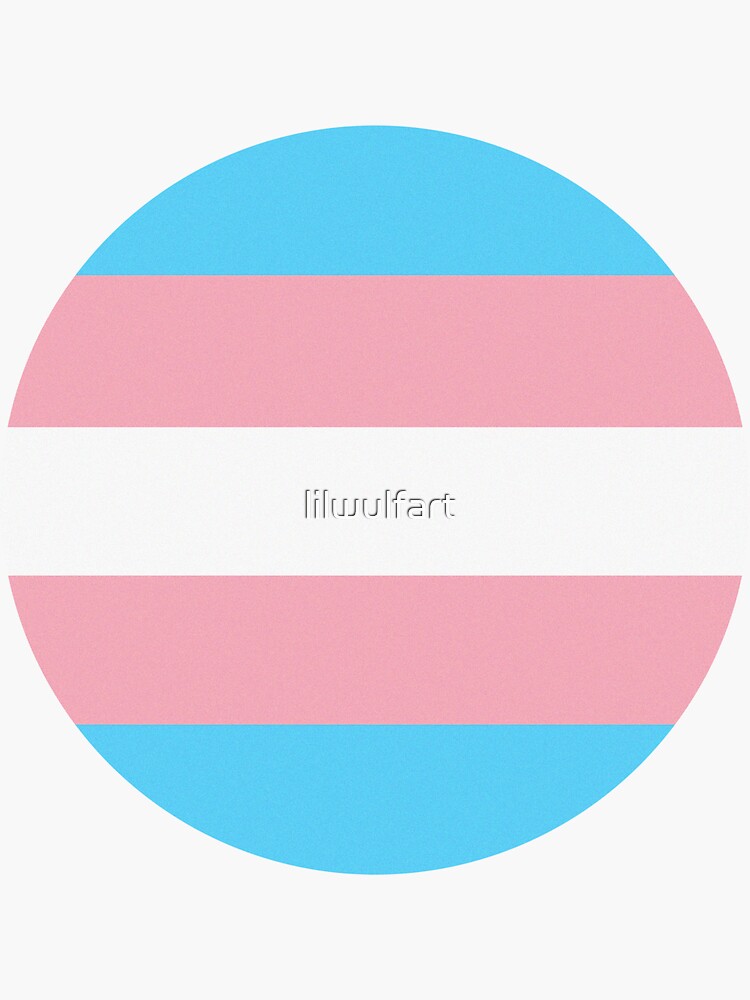 "Trans Pride Flag Circle Sticker" Sticker for Sale by lilwulfart ...