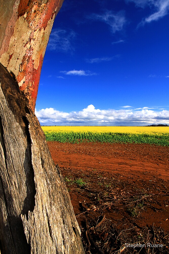"Colours Of Australia" by Stephen Ruane | Redbubble