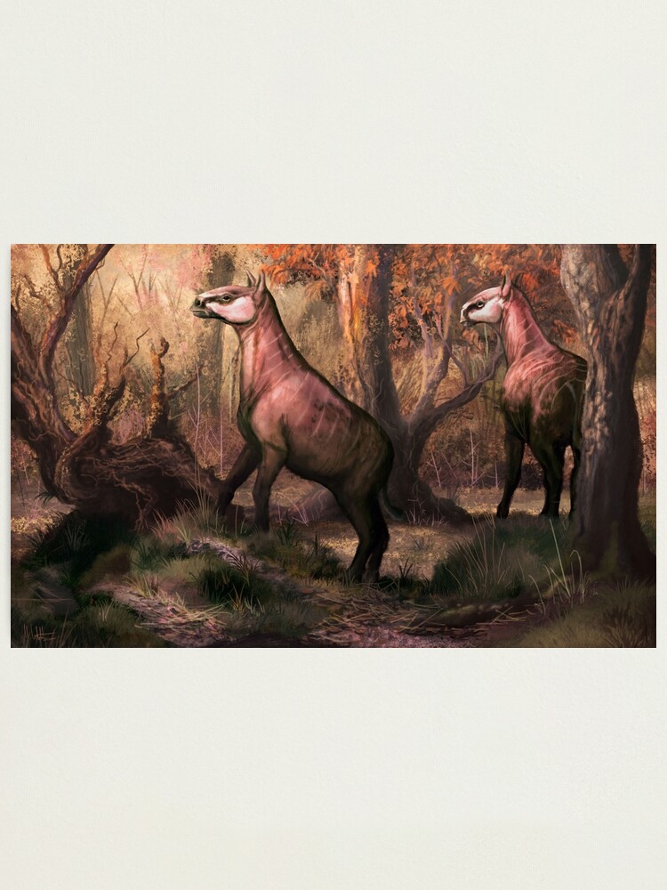 "Palaeotherium magnum" Photographic Print by MarkWitton | Redbubble