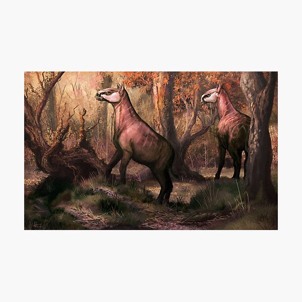 "Palaeotherium magnum" Photographic Print by MarkWitton | Redbubble