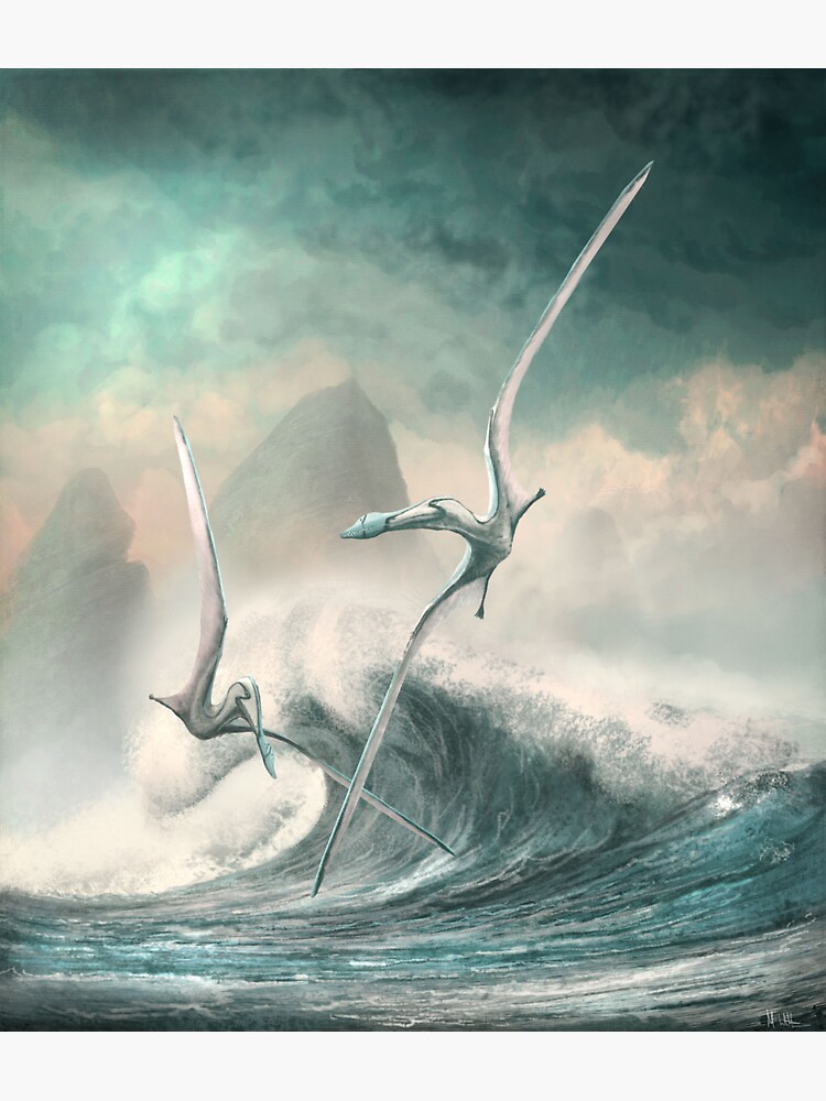 "Cimoliopterus" Sticker for Sale by Mark Witton | Redbubble