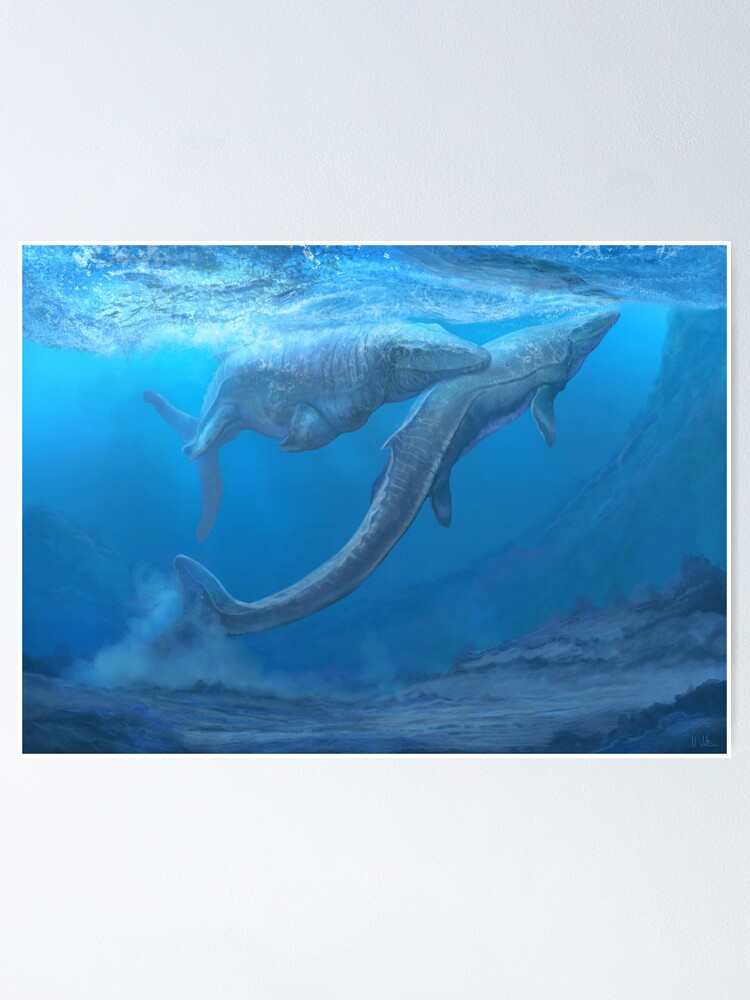 "Mosasaurus hoffmanni" Poster for Sale by MarkWitton | Redbubble